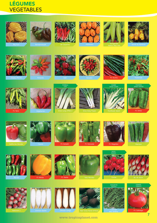 Agrinova Co. - Tropica Catalog - Page 6-7 - Created with Publitas.com