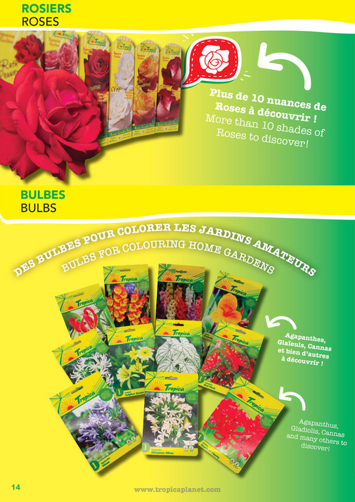 Agrinova Co. - Tropica Catalog - Page 14-15 - Created with Publitas.com