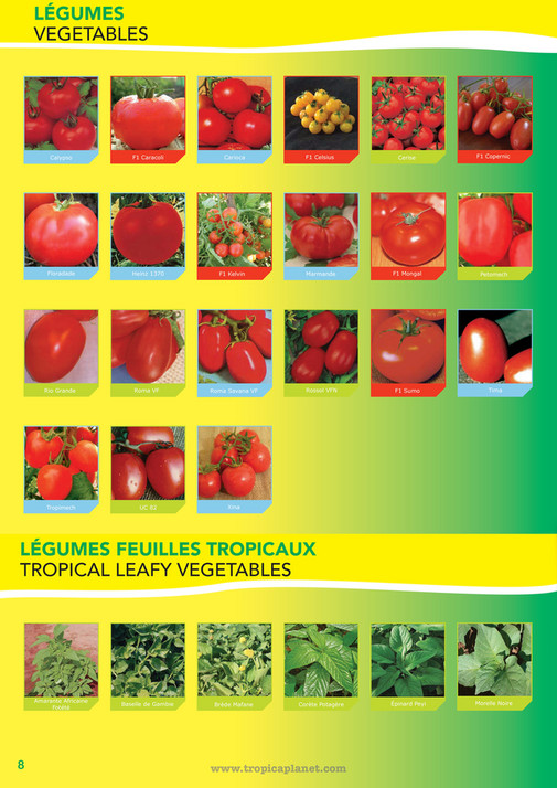 Agrinova Co. - Tropica Catalog - Page 8-9 - Created with Publitas.com