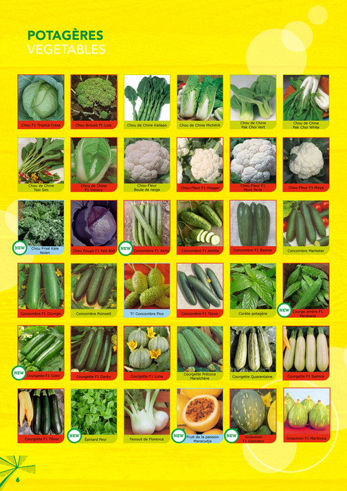 Agrinova Co. - Tropica Catalog - Page 6-7 - Created with Publitas.com