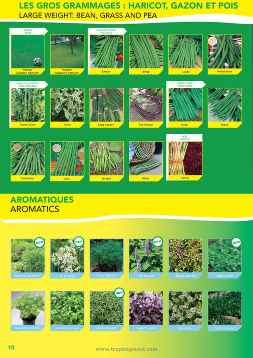 Agrinova Co. - Tropica Catalog - Page 10-11 - Created with Publitas.com