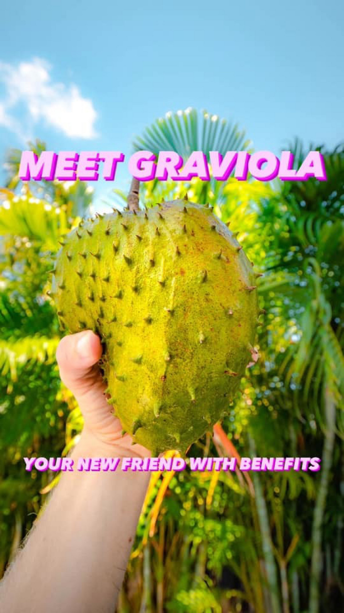 My publications - Benefits Of Graviola - Naturemedies - Page 1 ...