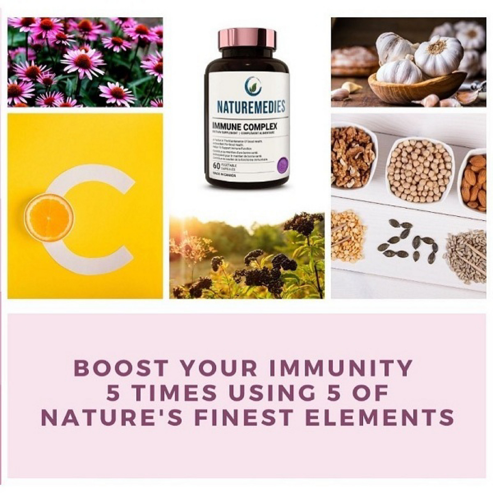 My Publications Boost Your Immunity Immune Complex Page 1