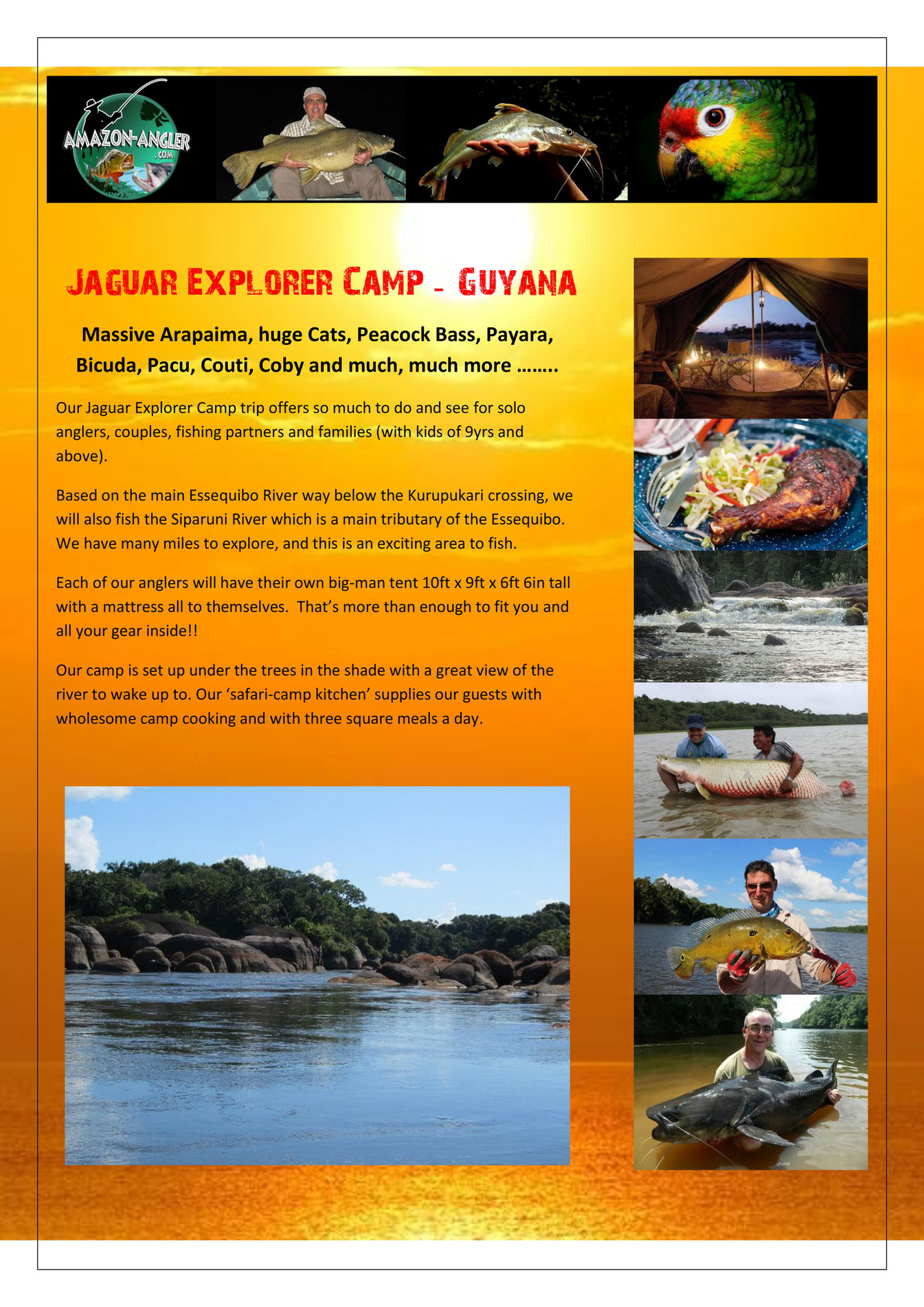 My publications - JAGUAR EXPLORER CAMP - GUYANA - Page 1 - Created with Publitas.com