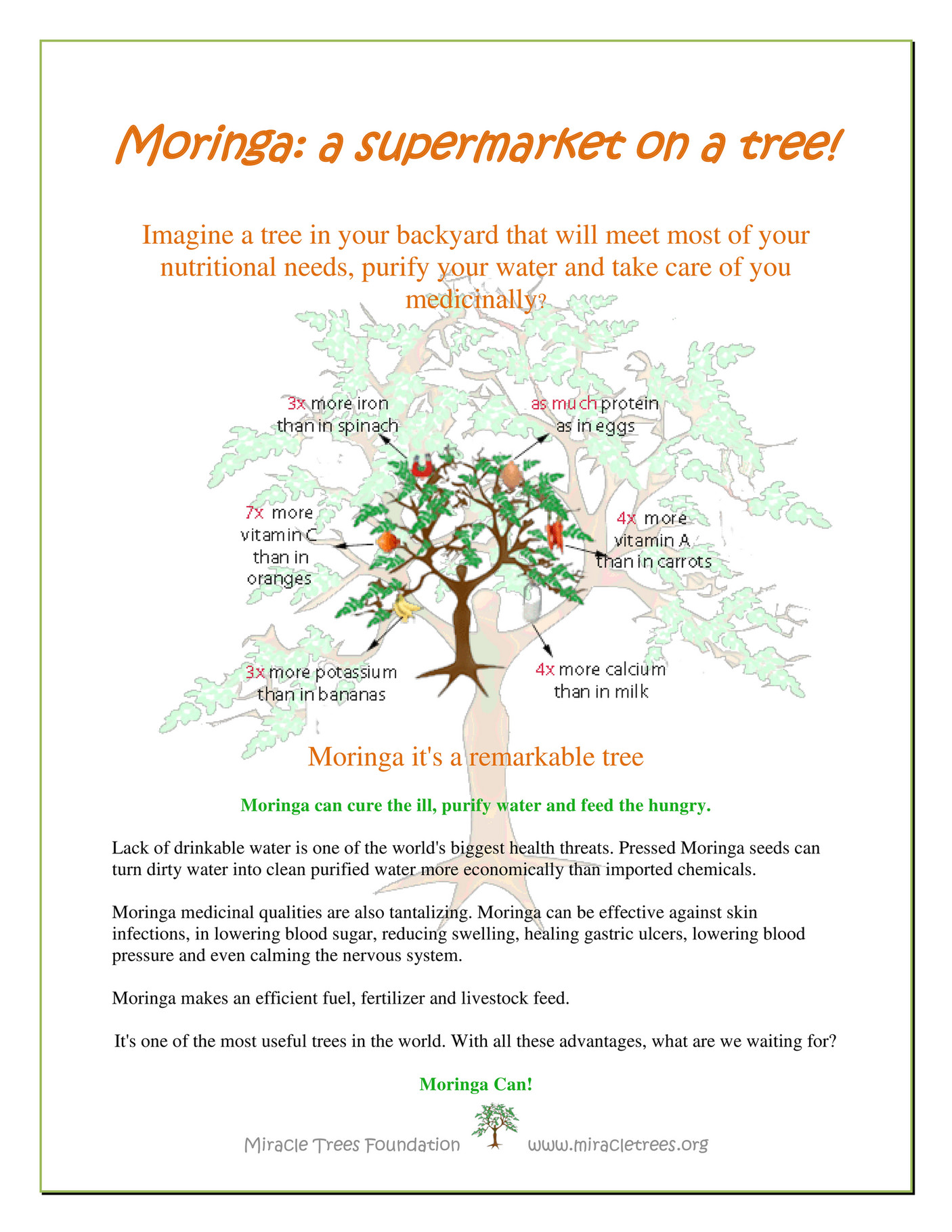 moringa tree - MORINGA_BOOK1 - Page 1 - Created with Publitas.com