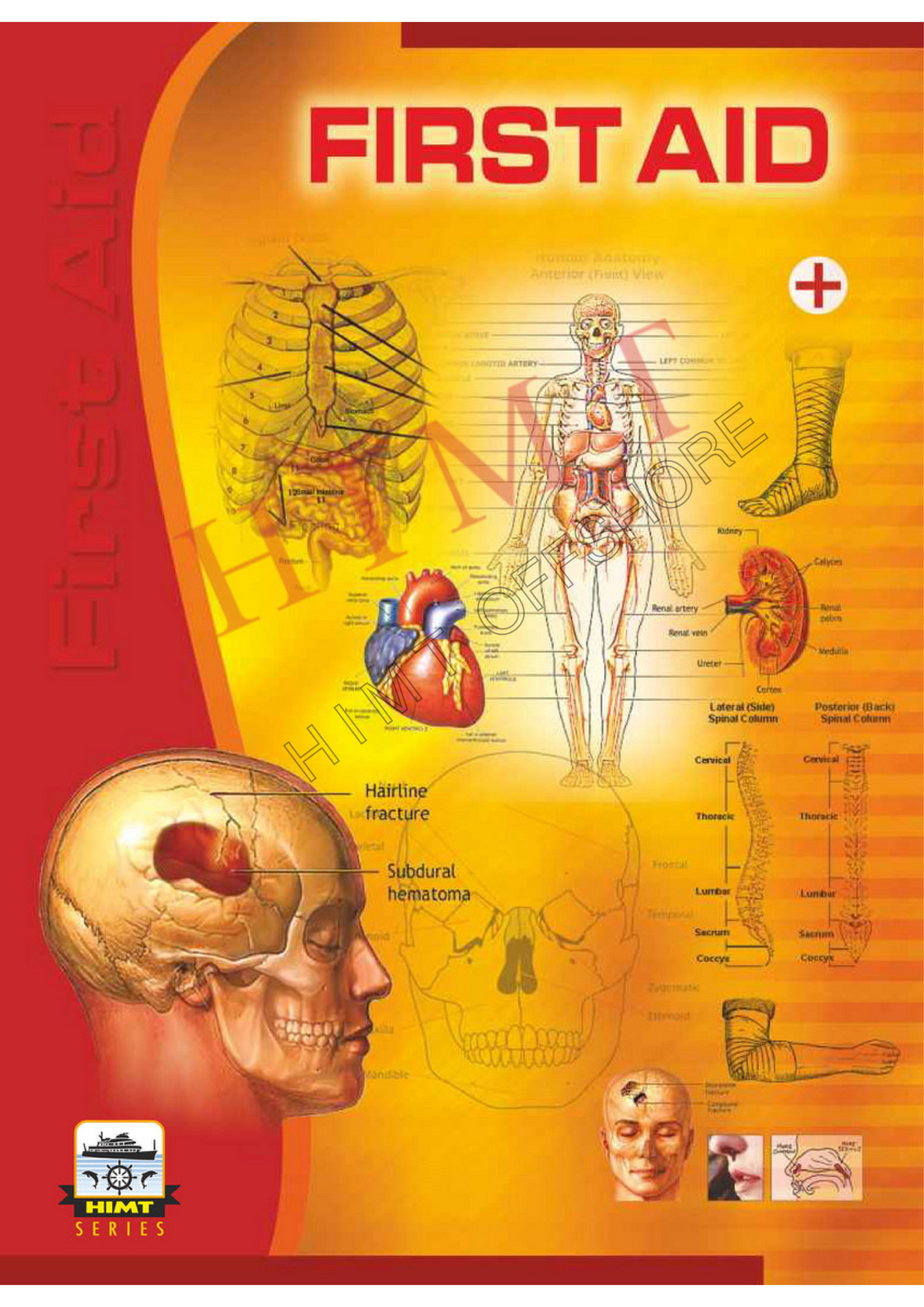 HIMT - MCA-MFA-HANDOUT - Page 1 - Created with Publitas.com