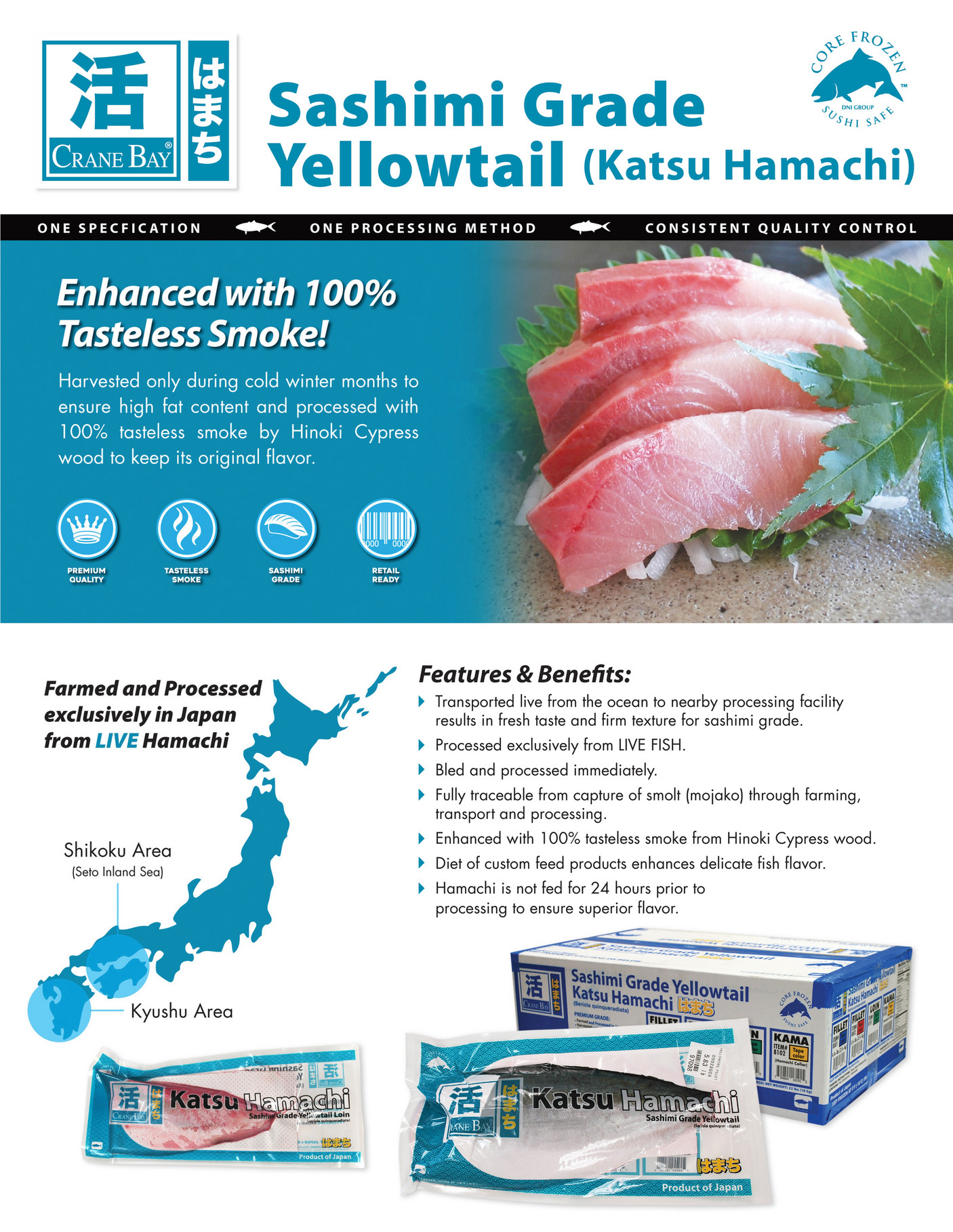 DNI Group, LLC - CB Katsu Hamachi Flyer - Tasteless Smoke 2020 - Page 1 ...