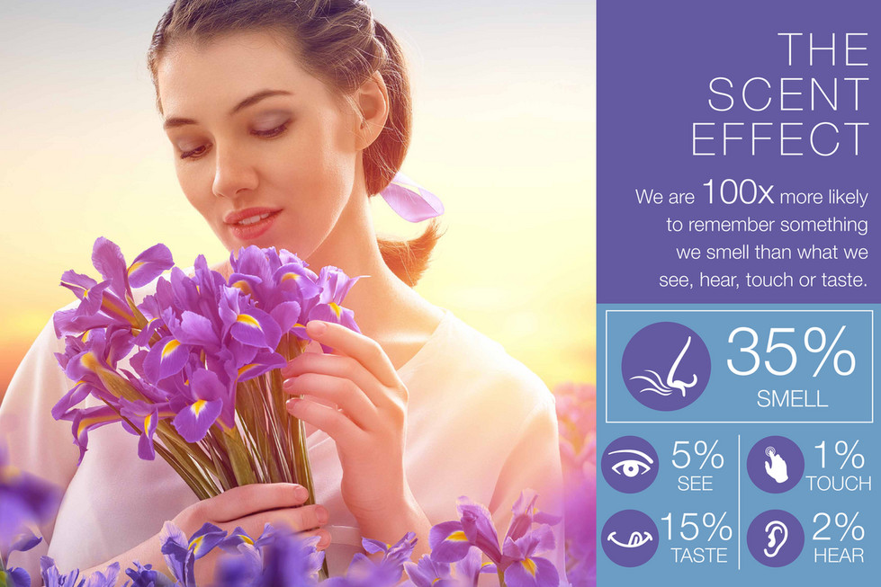 My publications - Rezaroma Brochure - Page 3 - Created with Publitas.com