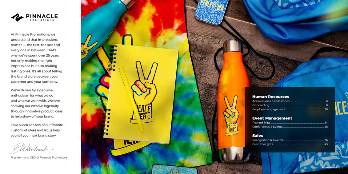 Pinnacle Promotions Promo Kits - Page 2