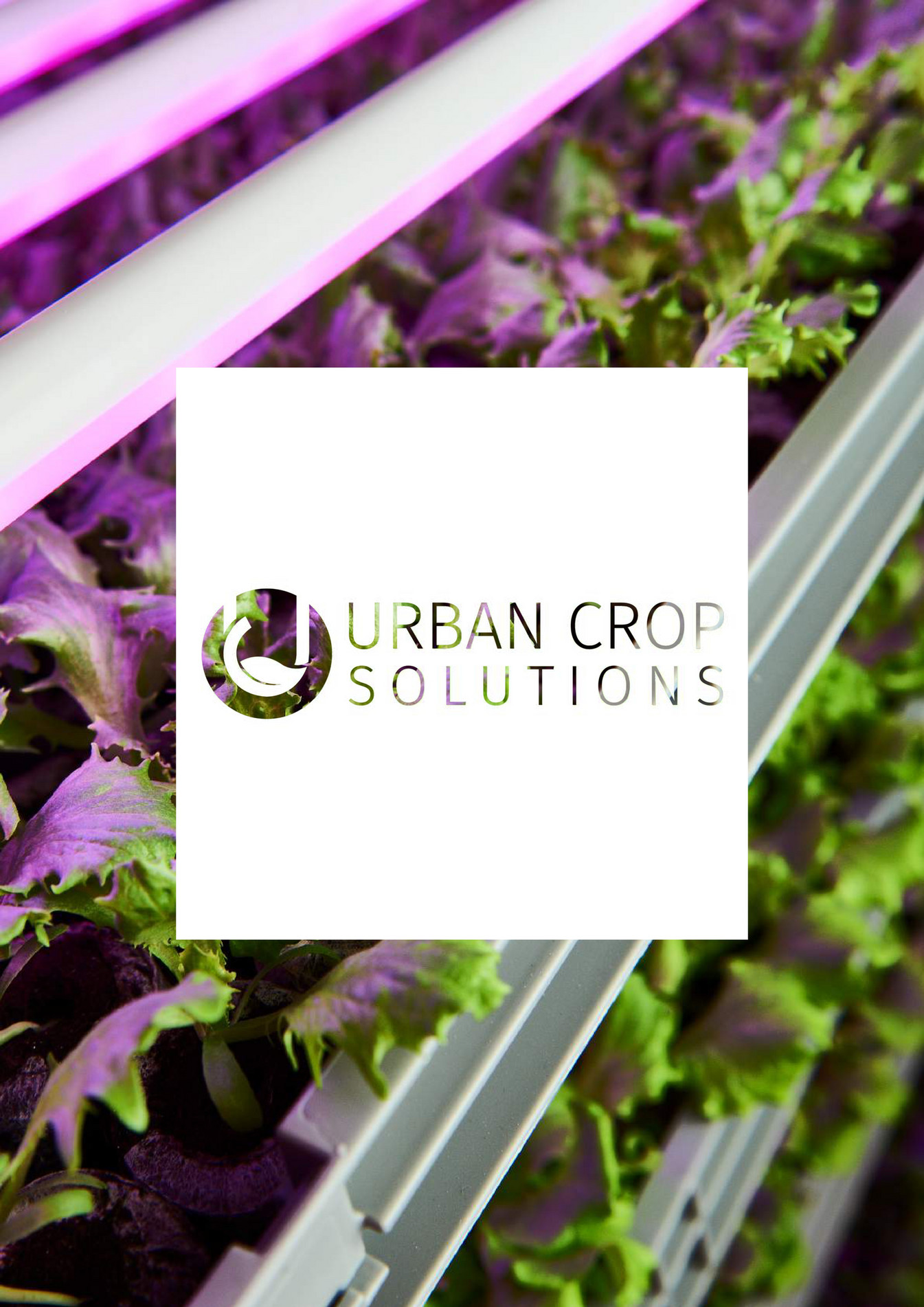 Urban Crops - Urban Crops brochure (ES) - Page 1 - Created with ...