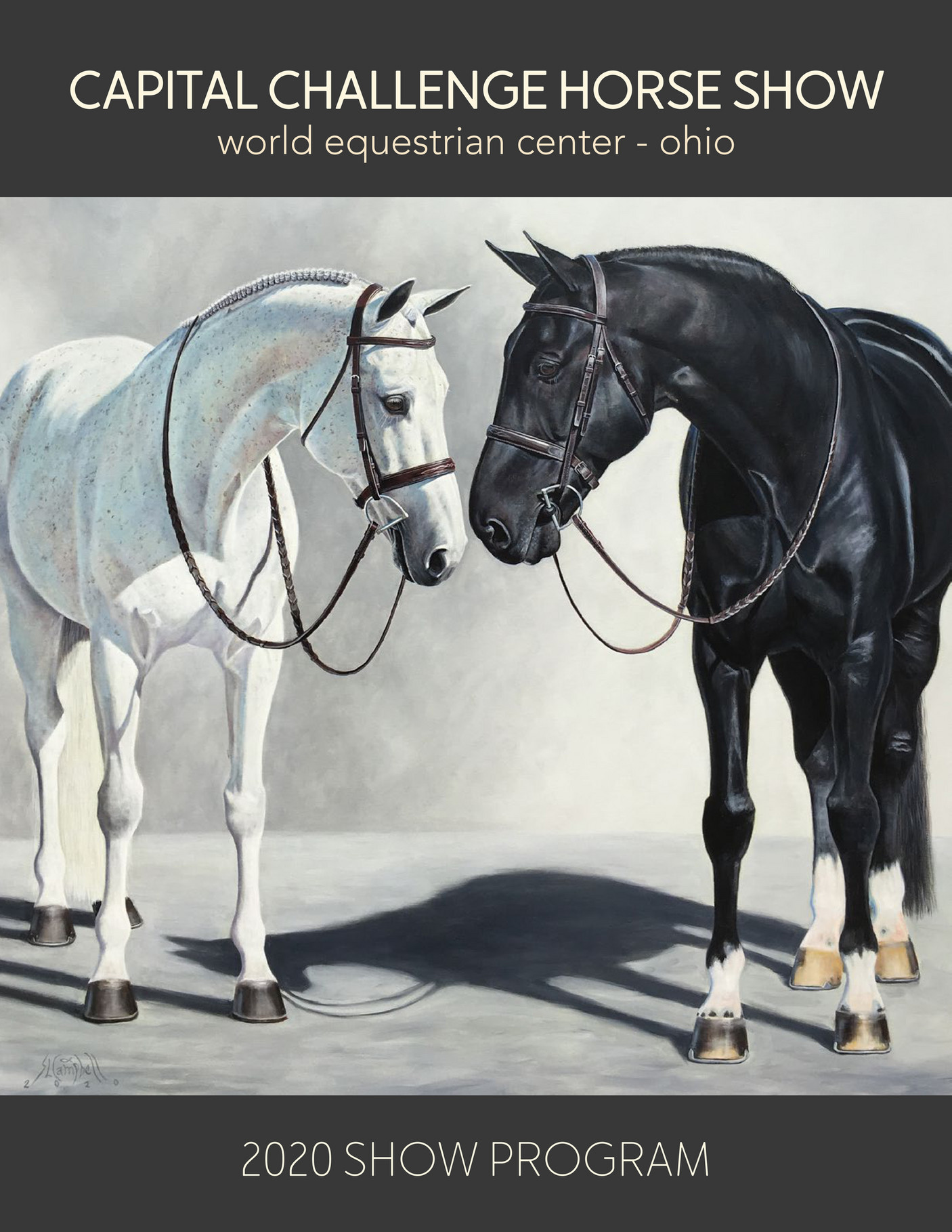 capital challenge - CCHS Program 9 10 20 draft - Page 18-19