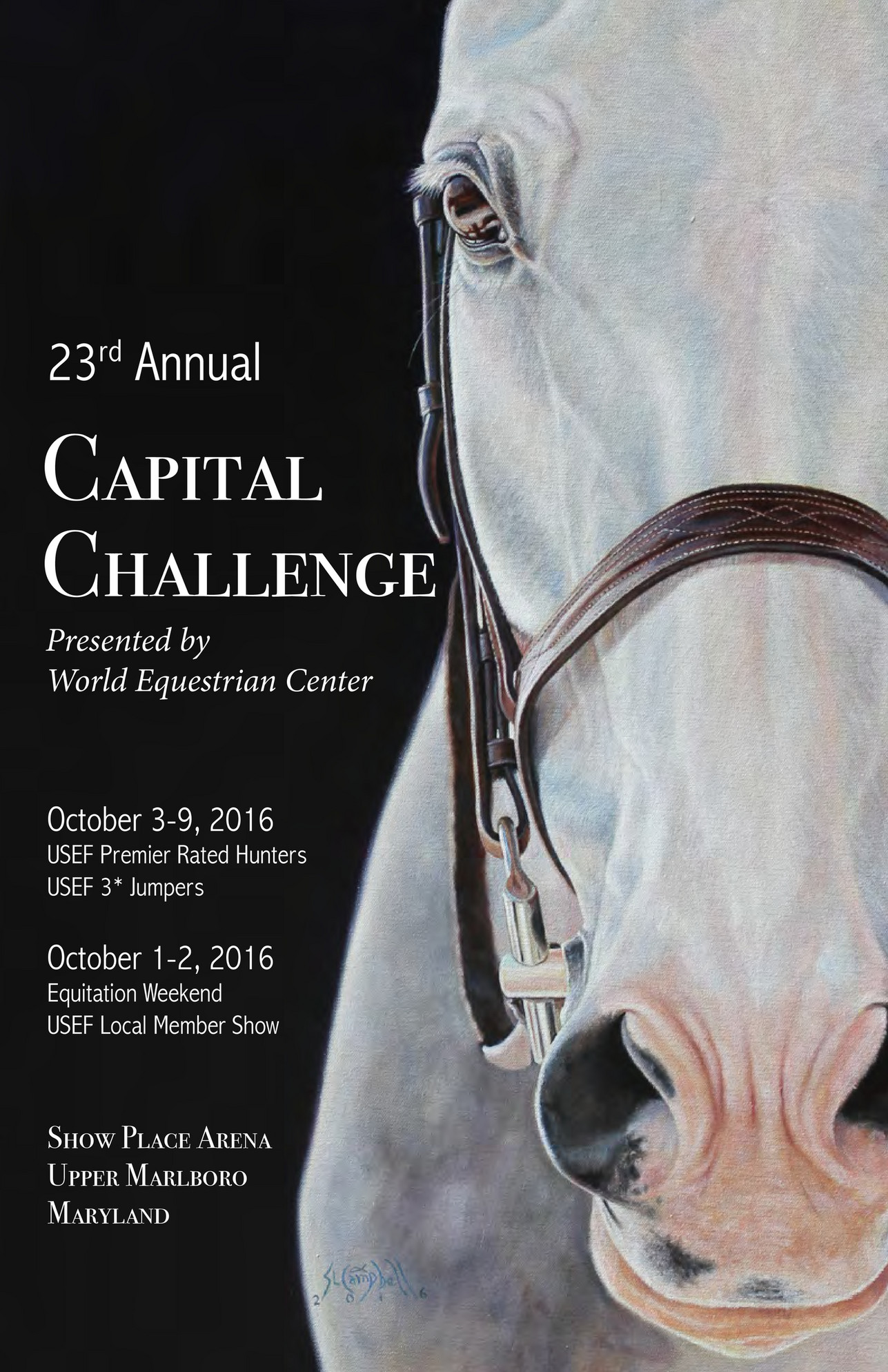 capital challenge - CCHS_PrizeList_website_2016 - Page 1