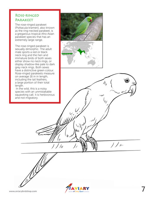 My publications - Aviary Coloring Book - Page 6-7 - Created with ...