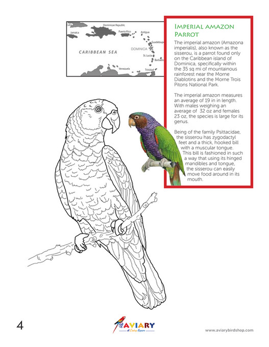My publications - Aviary Coloring Book - Page 4-5 - Created with ...