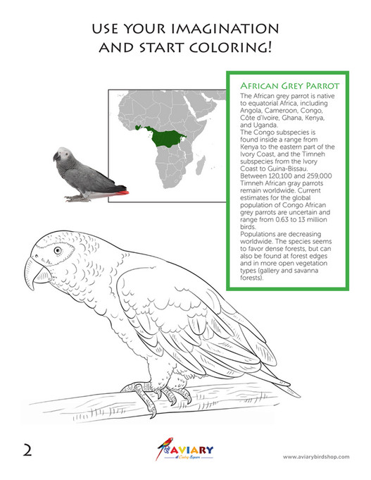 My publications - Aviary Coloring Book - Page 2-3 - Created with ...