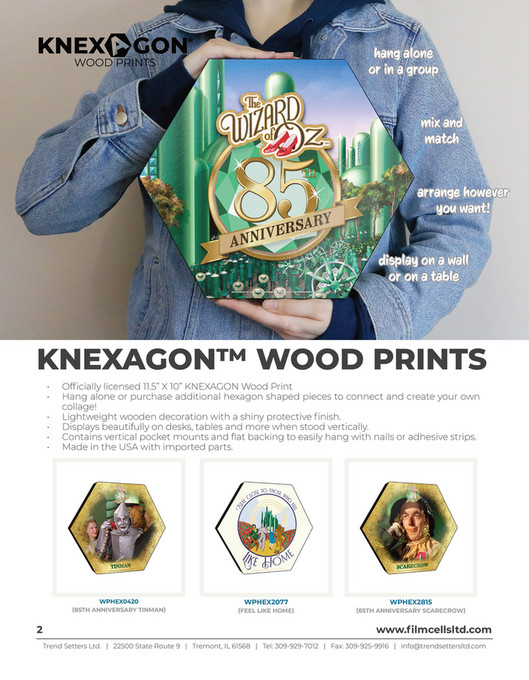 Trend Setters Wizard of Oz Catalog 2024 - Page 2-3 - Created with Publitas.com