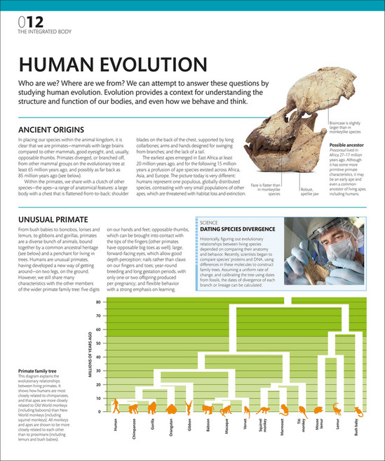 Libraria Online - The Complete Human Body- The Definitive Visual Guide ...