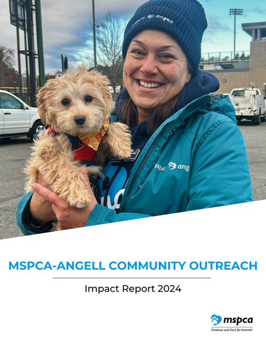 MSPCA-Angell - 2024 q4 CO final - Page 1 - Created with Publitas.com