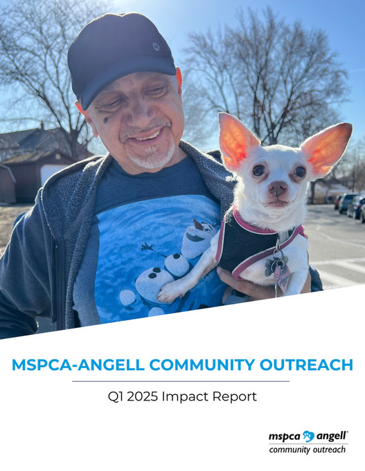 MSPCA-Angell - final final final q1 2025 - Page 1 - Created with Publitas.com