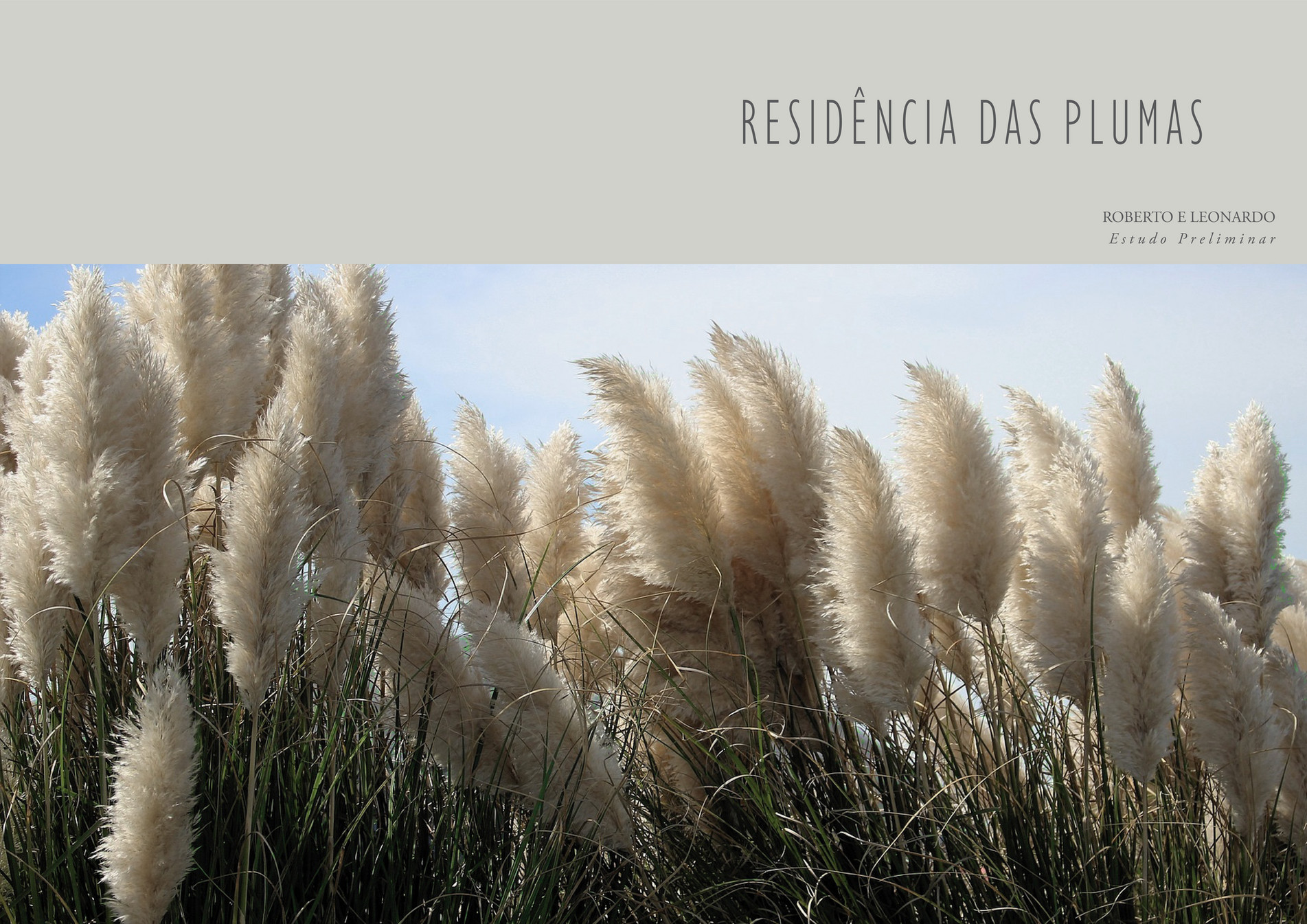 Daniel Nunes Paisagismo - Roberto e Leonardo - Estudo Preliminar ...