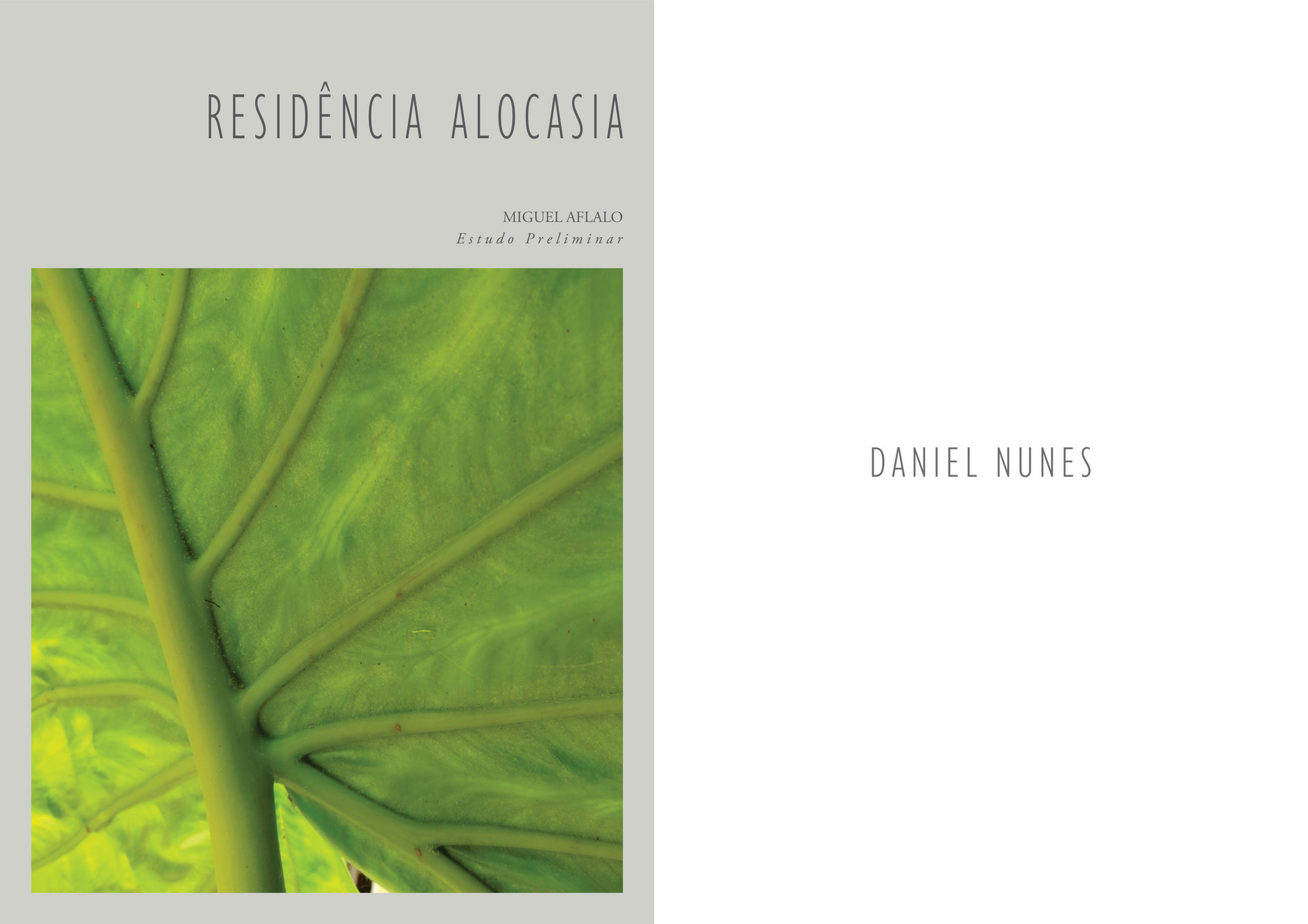 Daniel Nunes Paisagismo - Miguel Aflalo - Revista Final - Page 1 ...