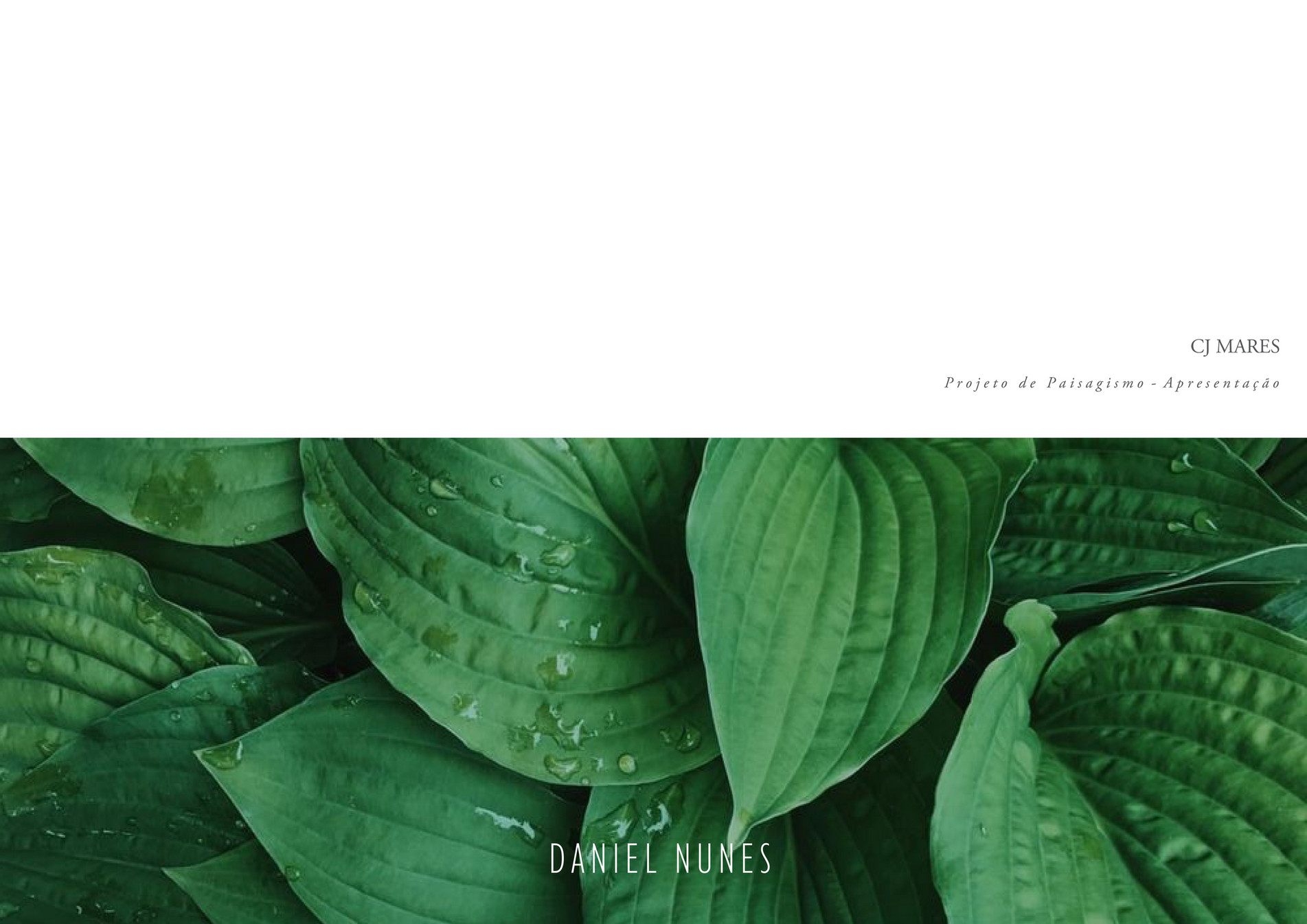 Daniel Nunes Paisagismo - CJ Mares - Projeto de Paisagismo ...