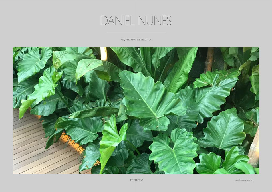 Daniel Nunes Paisagismo - Portfólio DN - Page 1 - Created with Publitas.com