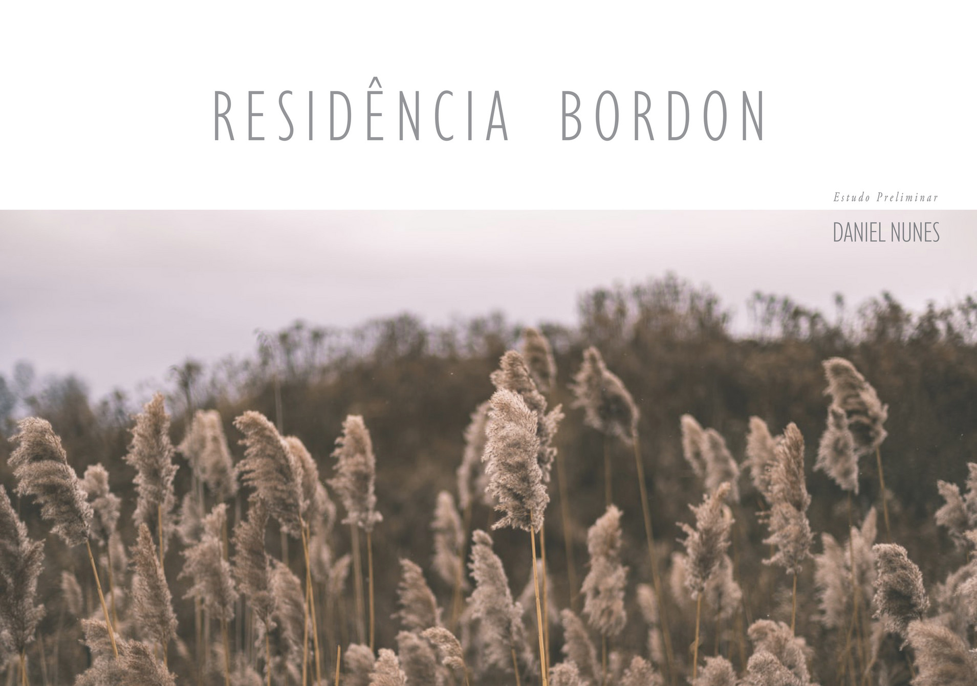 Daniel Nunes Paisagismo - Residência Bordon - Estudo preliminar ...