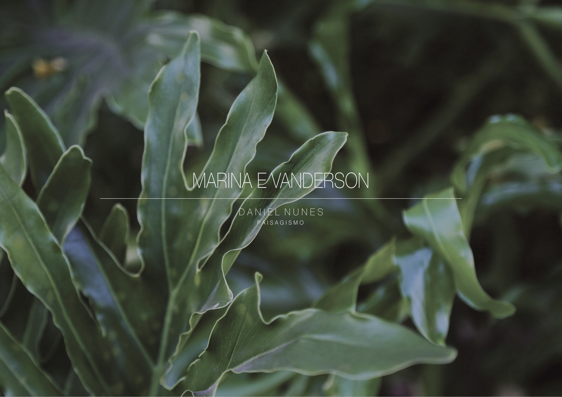 Daniel Nunes Paisagismo - Marina e Vanderson-EP-Apresentação-R00 - Page ...