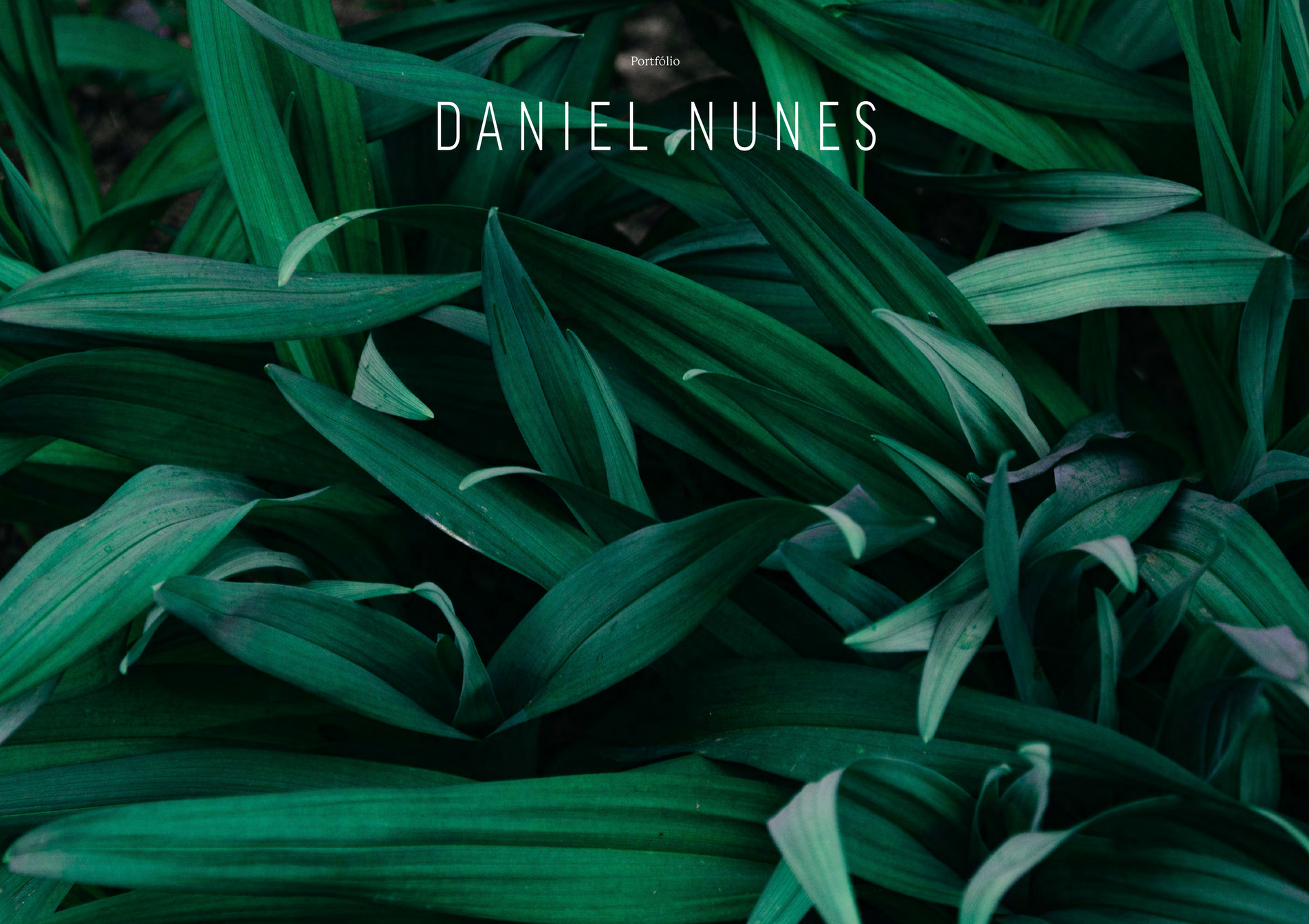 Daniel Nunes Paisagismo - Daniel Nunes Paisagismo - Portfólio - Page 1 - Created with Publitas.com