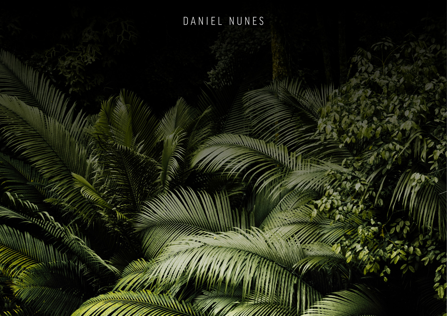 Daniel Nunes Paisagismo - DN_Portfolio_2024-PT01 - Page 1 - Created ...