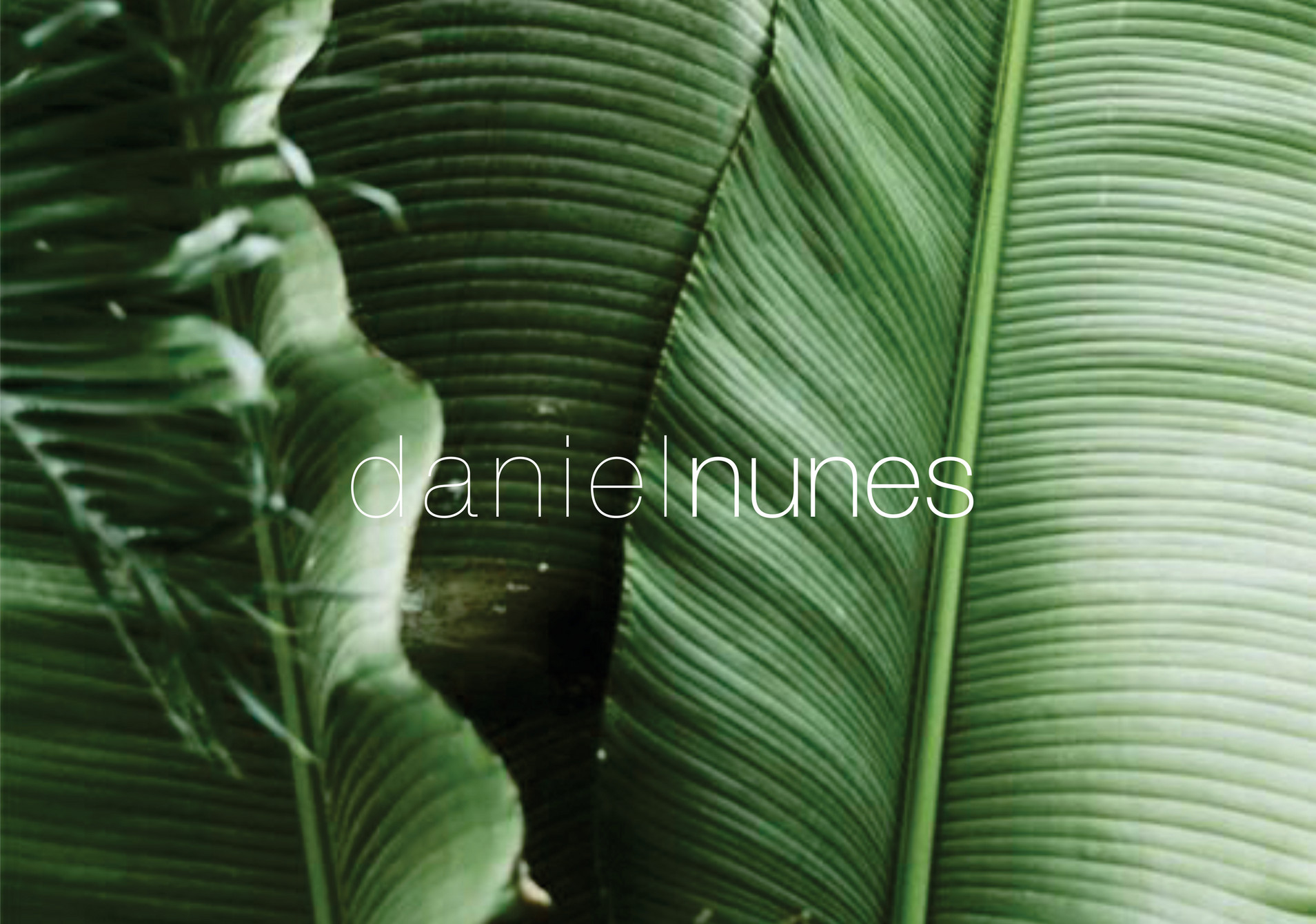 Daniel Nunes Paisagismo - Madé e Flávio - Apresentação - Lâminas - Page ...