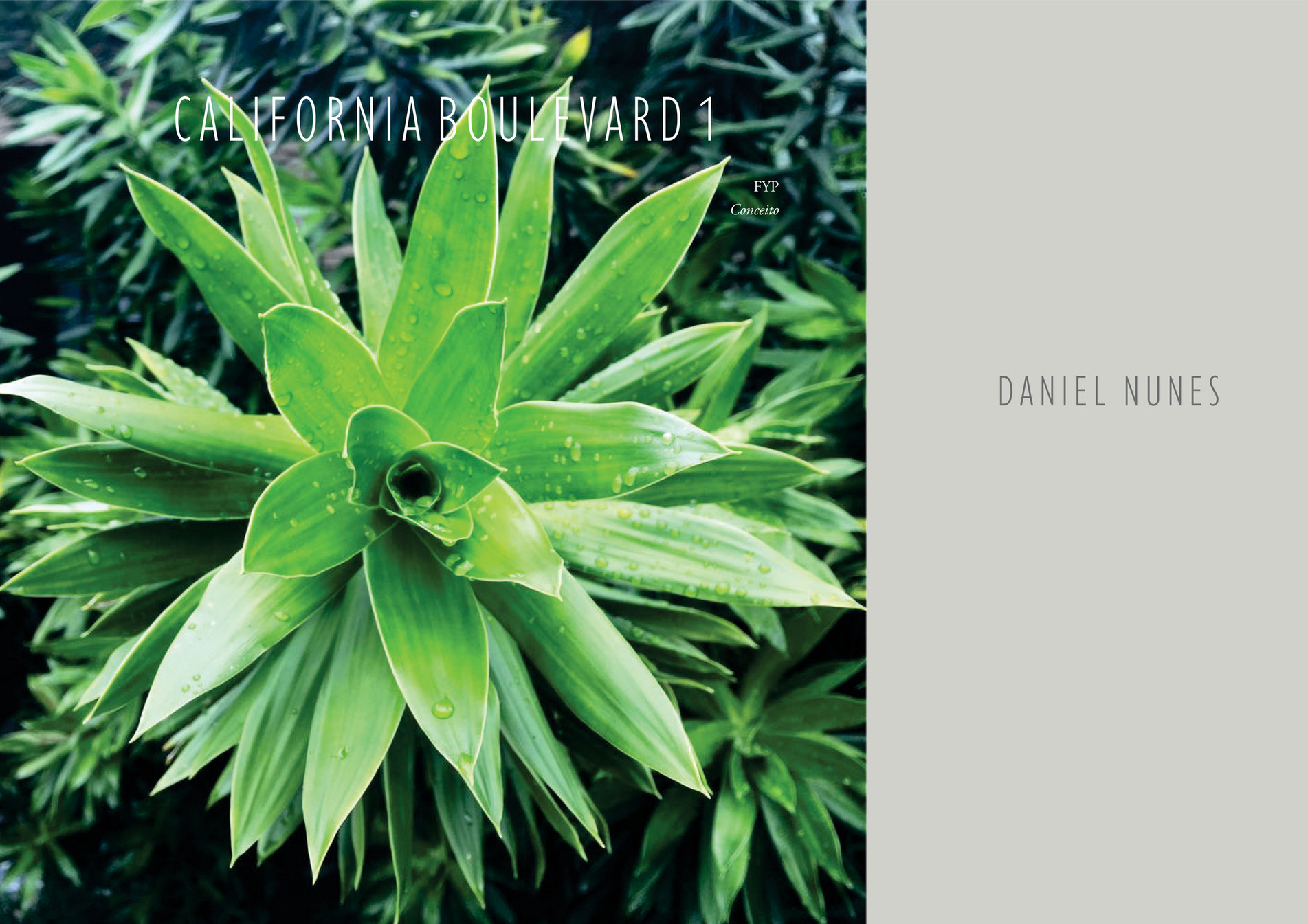 Daniel Nunes Paisagismo - FYP - SBO - California Boulevard 1 - Conceito ...