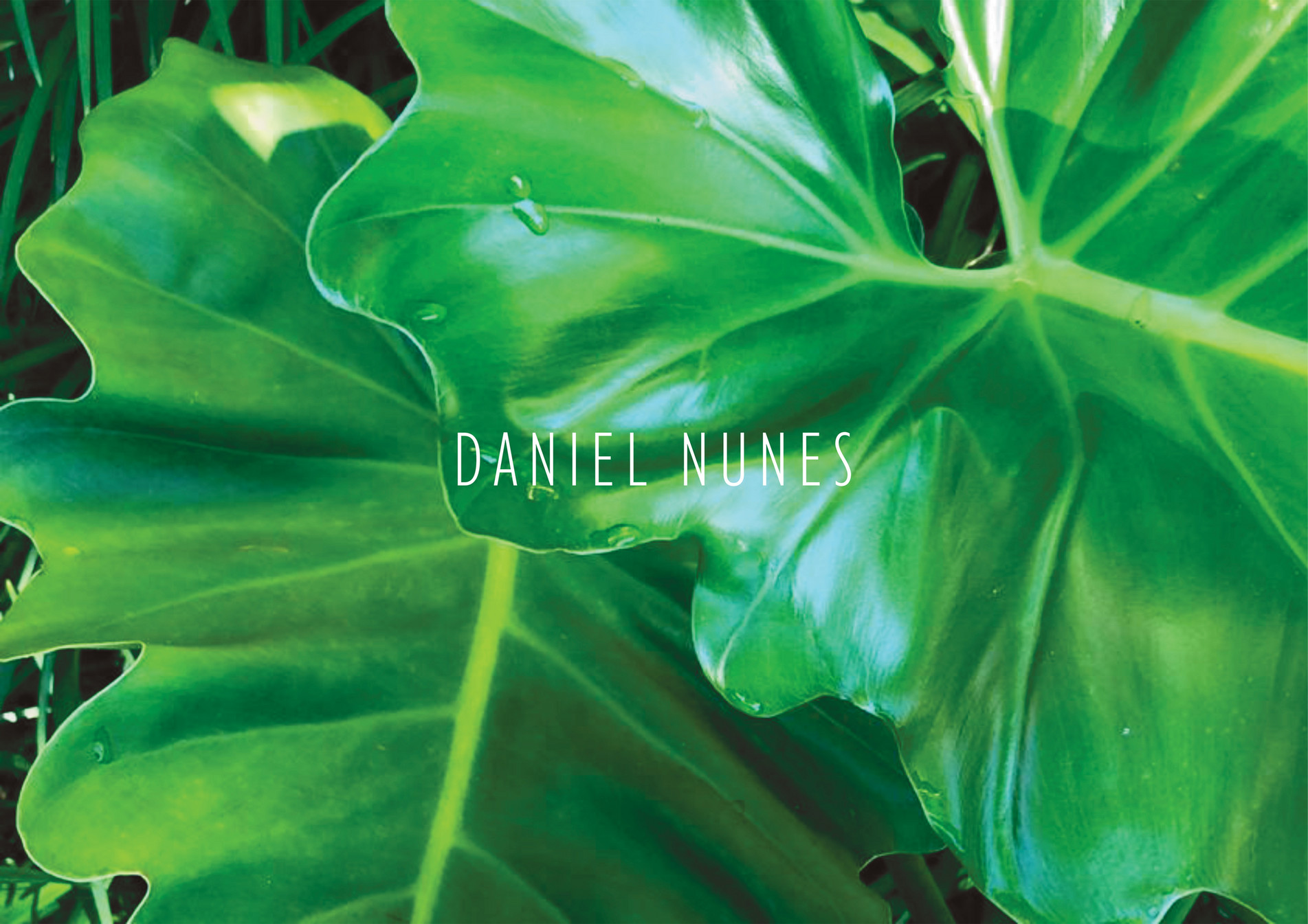 Daniel Nunes Paisagismo - Marcela e André Pereira - Material de ...