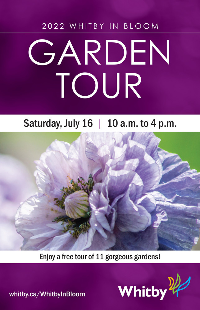Whitby Gardens | Fasci Garden