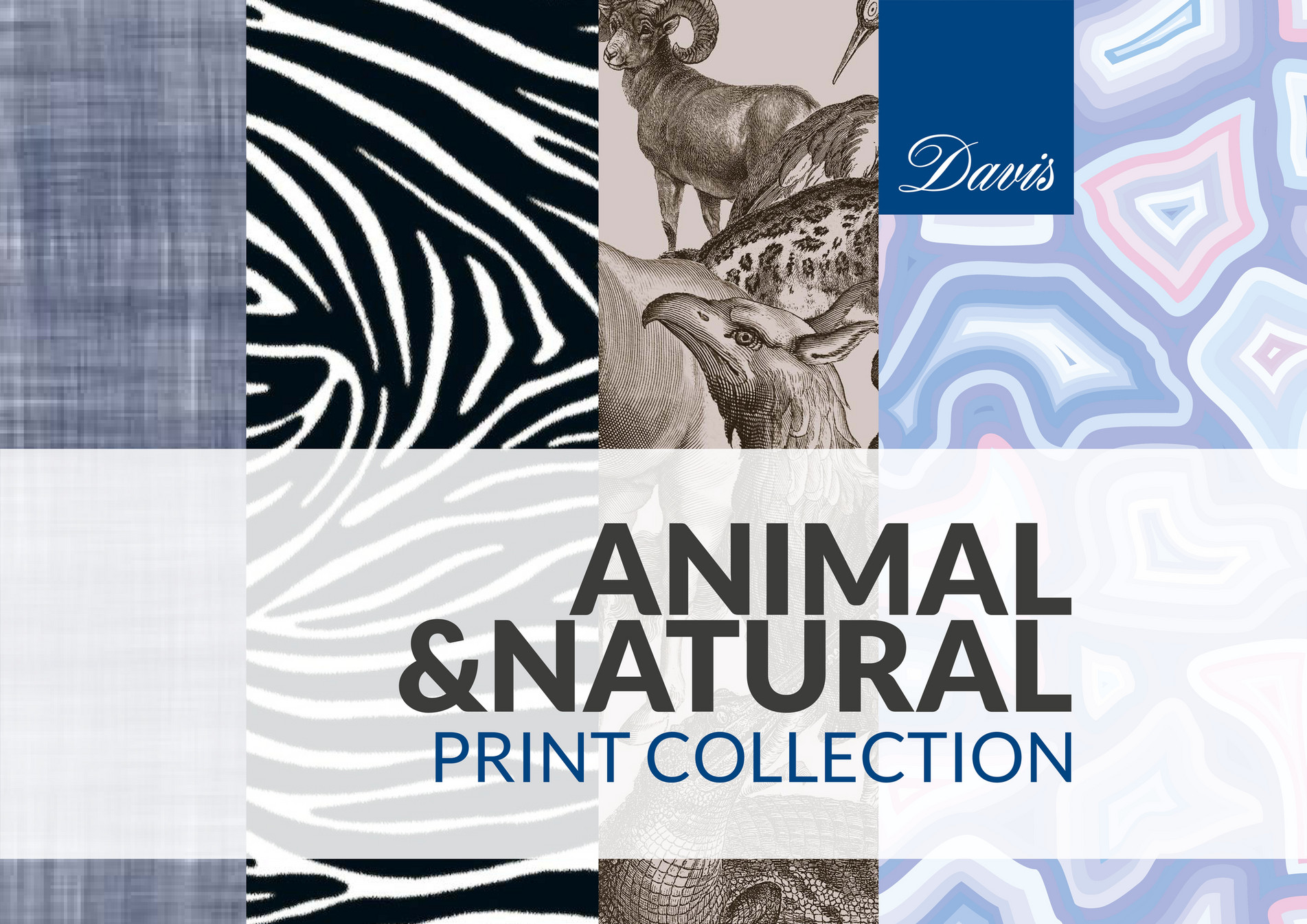 DAVIS POLAND - KOLEKCJA "Animal&Natural" - Strona 1 - Created with ...