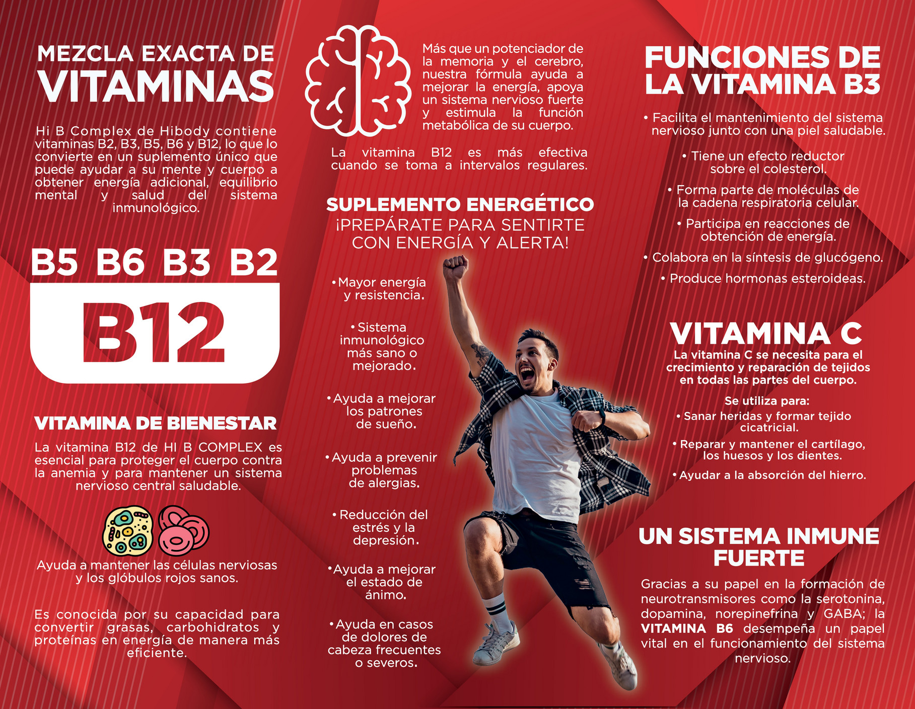 Hibody - TRÍPTICO HI B COMPLEX - Page 1 - Created with Publitas.com