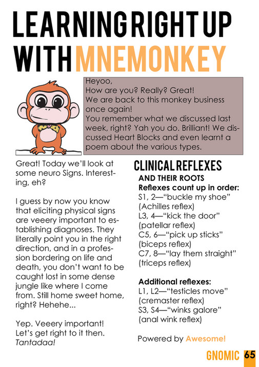 turkniQs - GNOMIC- MARCH 2017 - Page 64-65 - Created with Publitas.com
