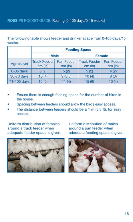 Ross Breeders - Ross-PS-Pocket-Guide2013 - Page 18-19 - Created with ...