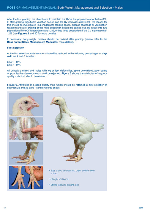 Ross Breeders - Ross-GP-manual-2011 - Page 12-13 - Created with ...