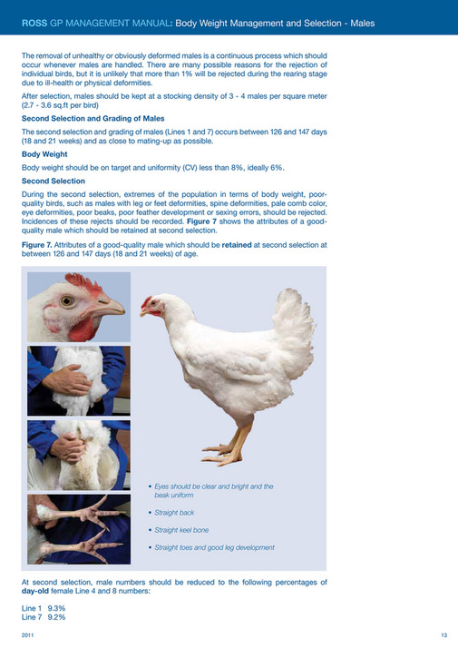 Ross Breeders - Ross-GP-manual-2011 - Page 12-13 - Created with ...