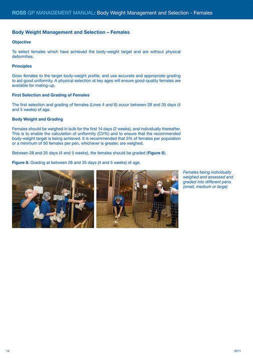 Ross Breeders - Ross-GP-manual-2011 - Page 14-15 - Created with ...