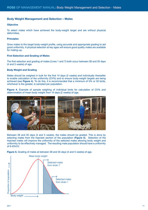 Ross Breeders - Ross-GP-manual-2011 - Page 10-11 - Created with ...