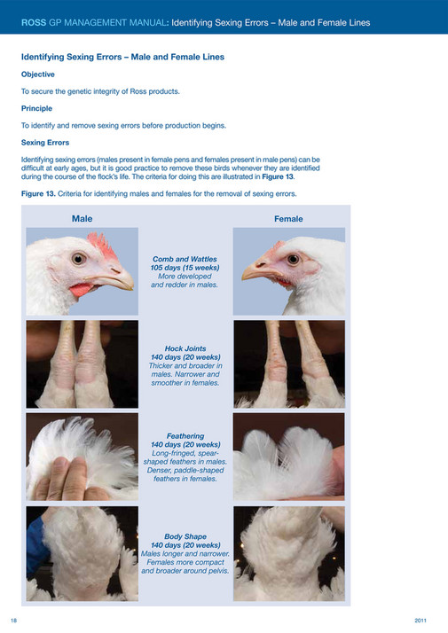 Ross Breeders - Ross-GP-manual-2011 - Page 18-19 - Created with ...