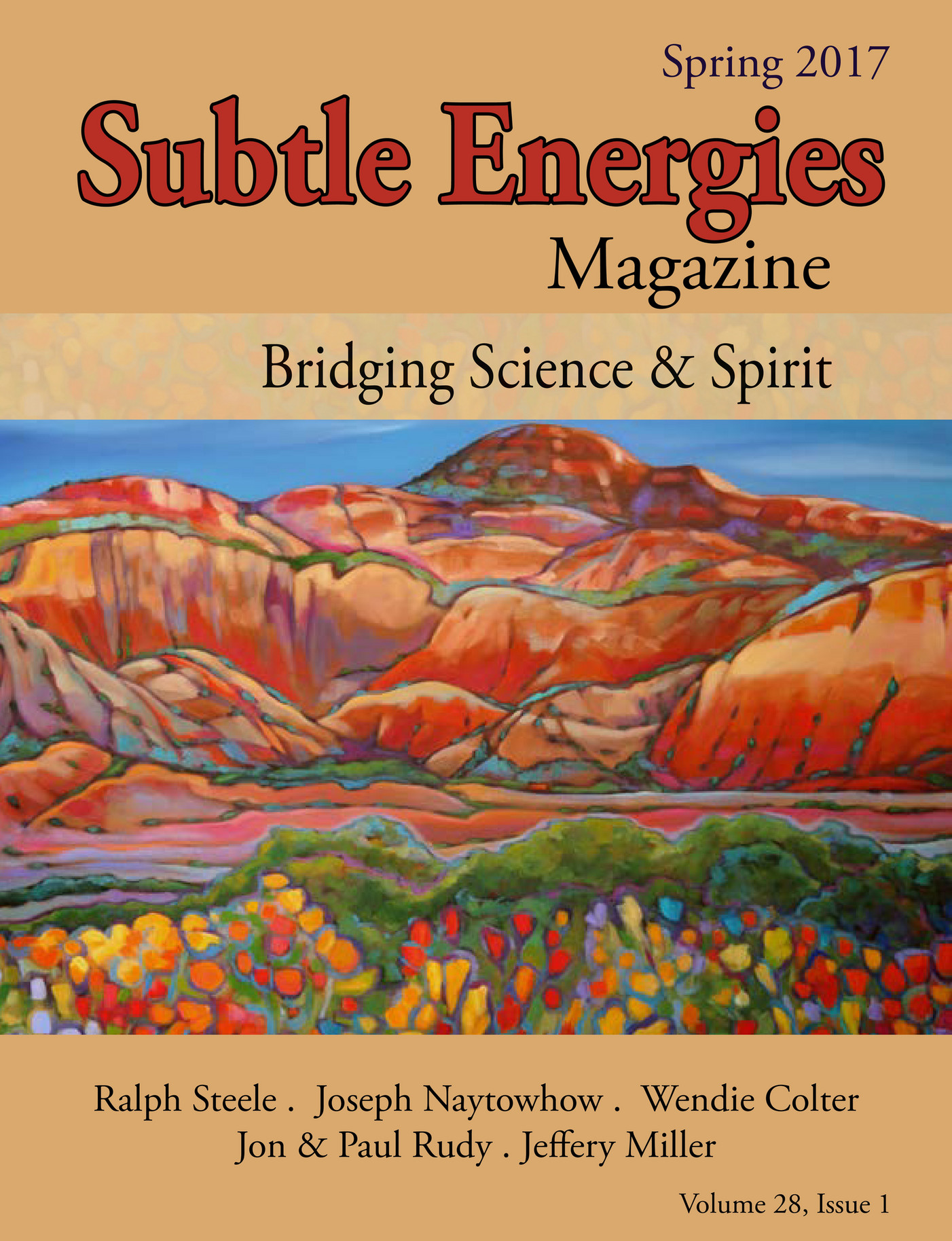 My publications - Spring 2017 Subtle Energies - Page 1