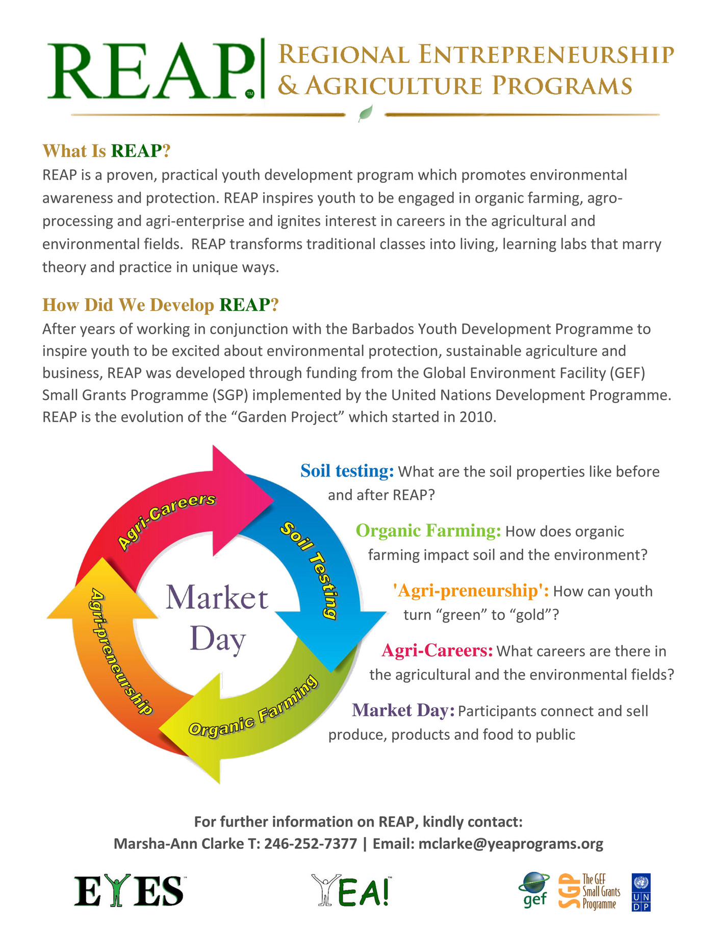 REAP Information - Page 1 - Created with Publitas.com