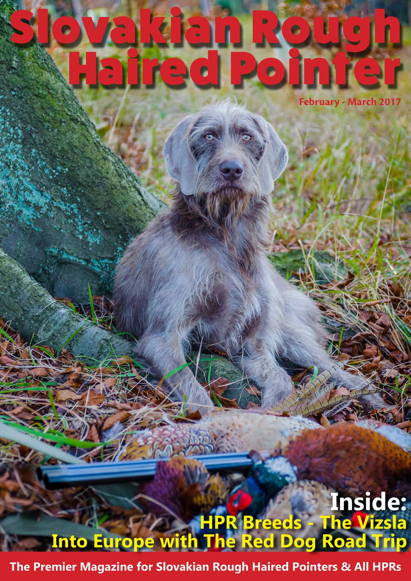 Wild Tweed Limited - The Slovakian Rough Haired Pointer Magazine - 005 ...