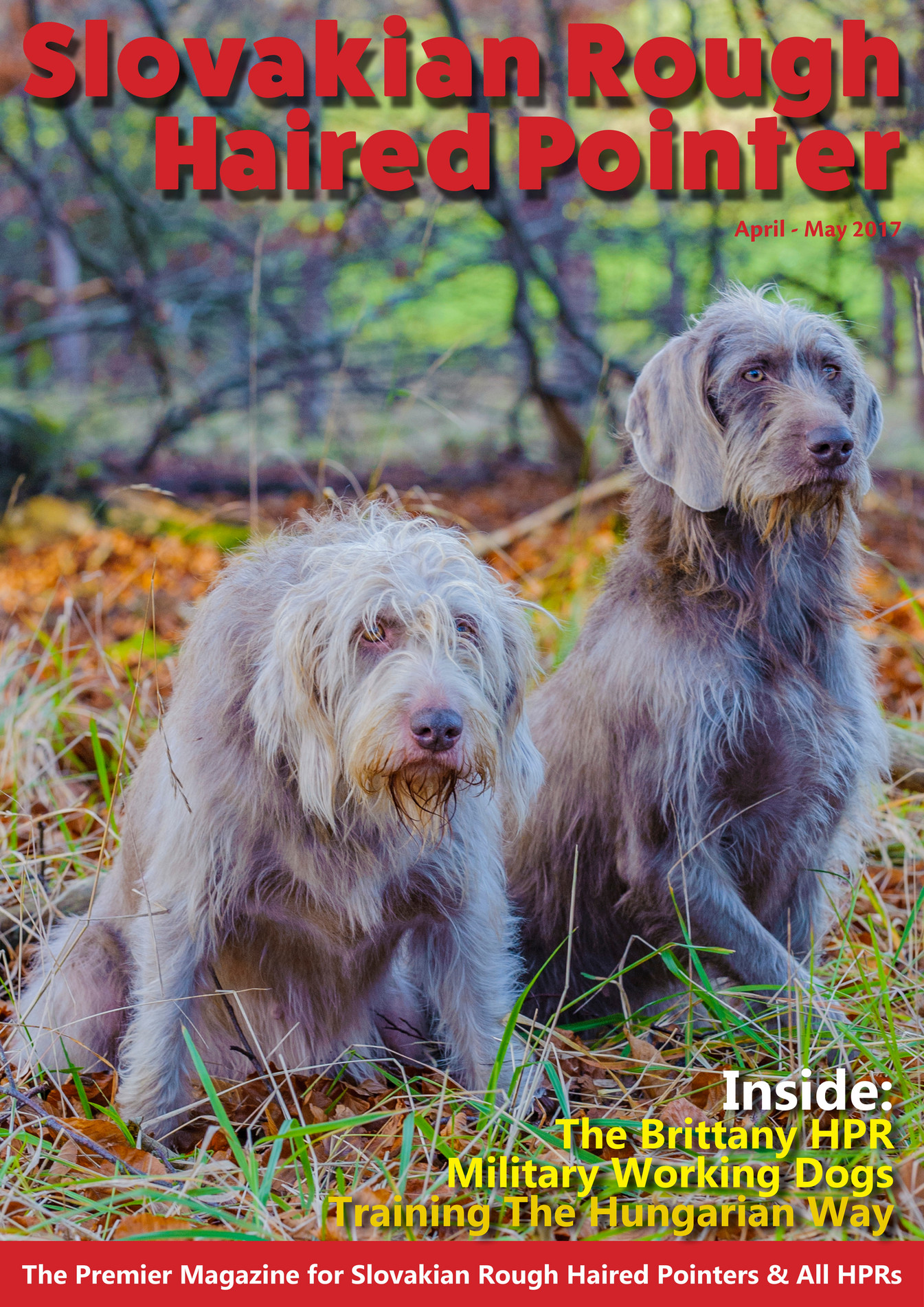 Wild Tweed Limited - The Slovakian Rough Haired Pointer Magazine - 006 ...