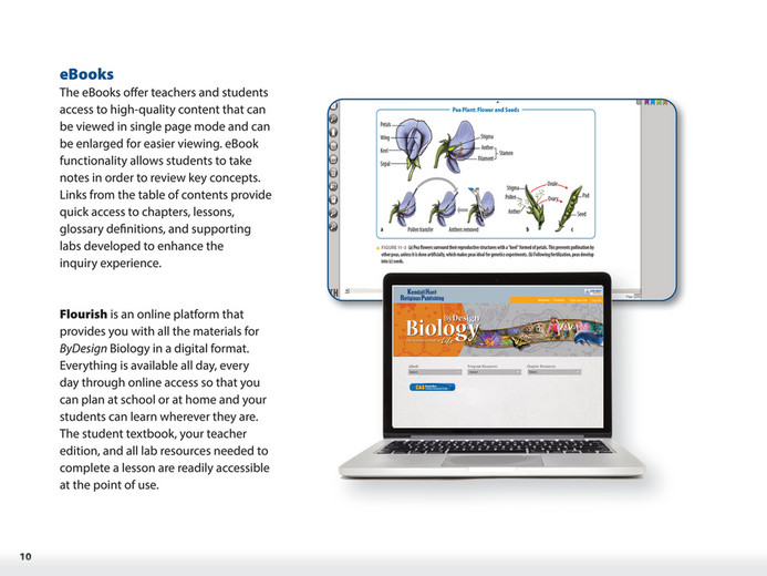 Kendall Hunt Publishing Company - ByDesign Biology Overview Brochure - Page 10-11 - Created with ...