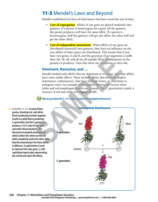 Kendall Hunt Publishing Company - ByDesign Biology Chapter 11 Sample ...